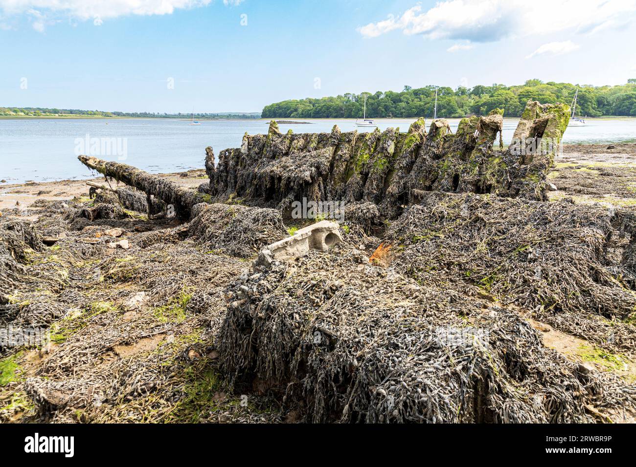 Lowestoft trawler "Helping Hand" (built 1921) laid up in Black Mixen ...