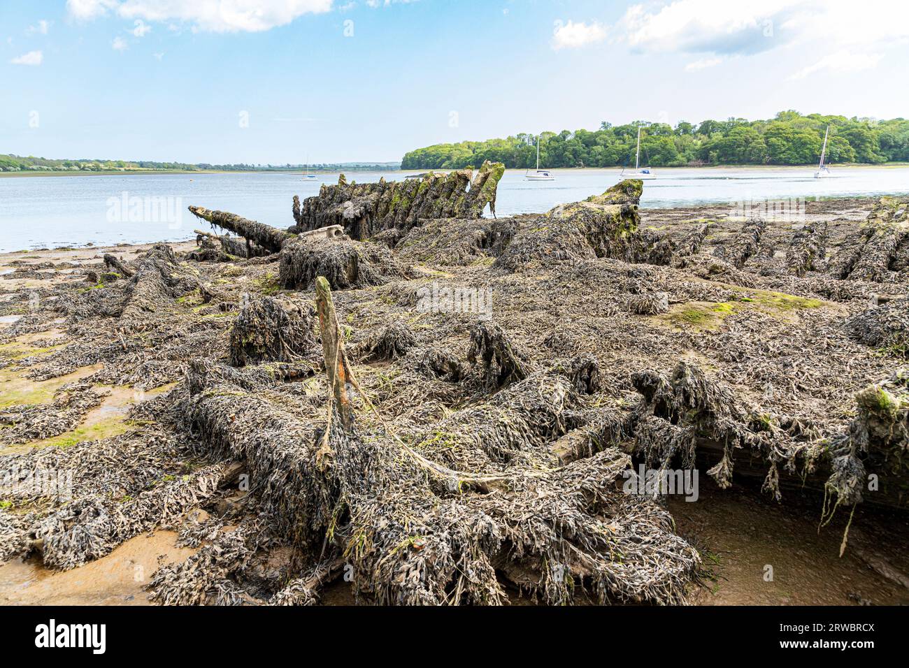 Lowestoft trawler "Helping Hand" (built 1921) laid up in Black Mixen ...