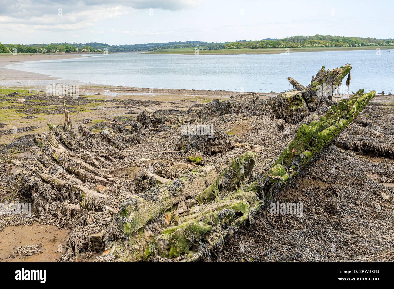 Lowestoft trawler "Helping Hand" (built 1921) laid up in Black Mixen ...