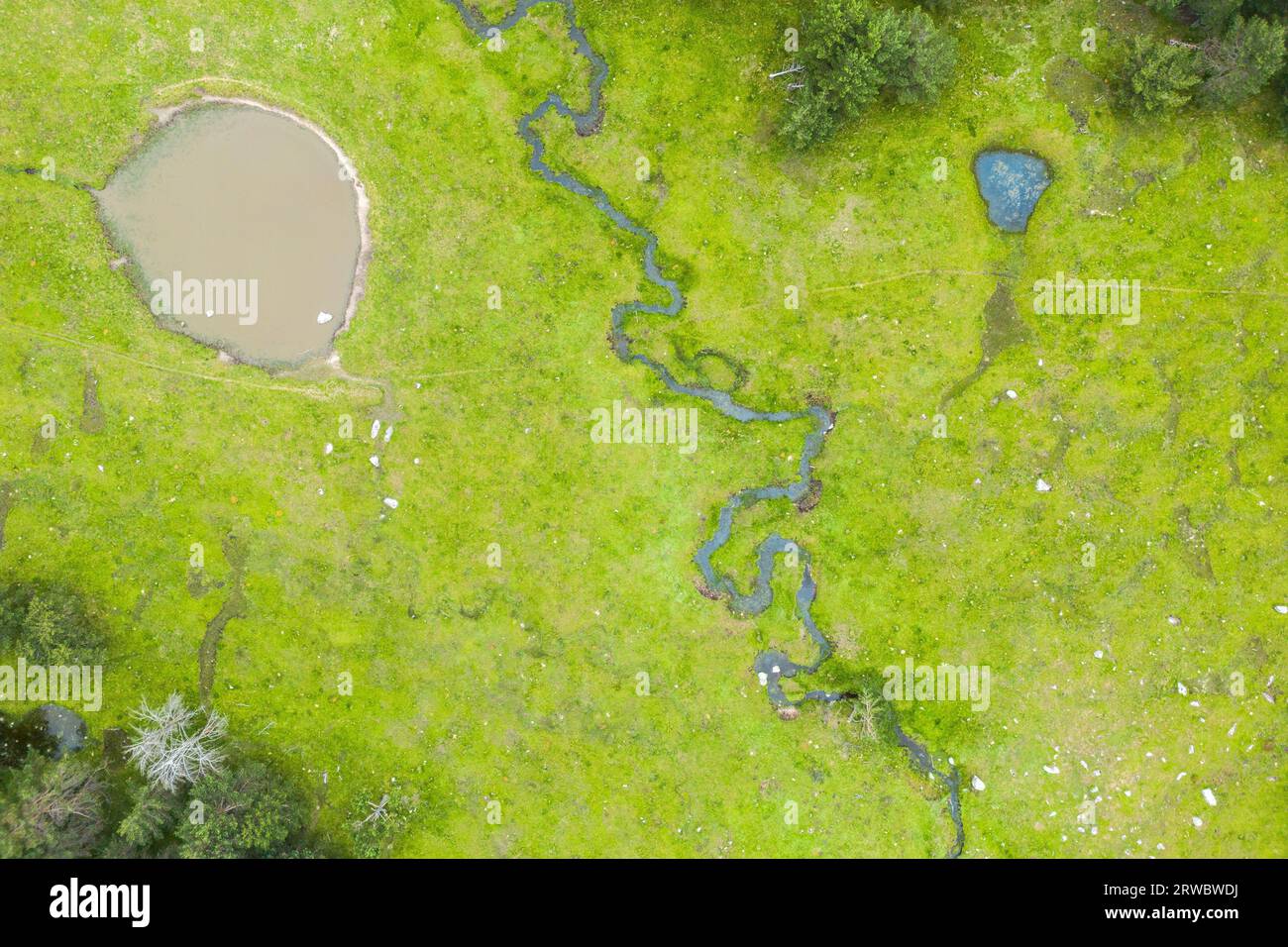 Aerial view of narrow river going through green grass near green trees ...