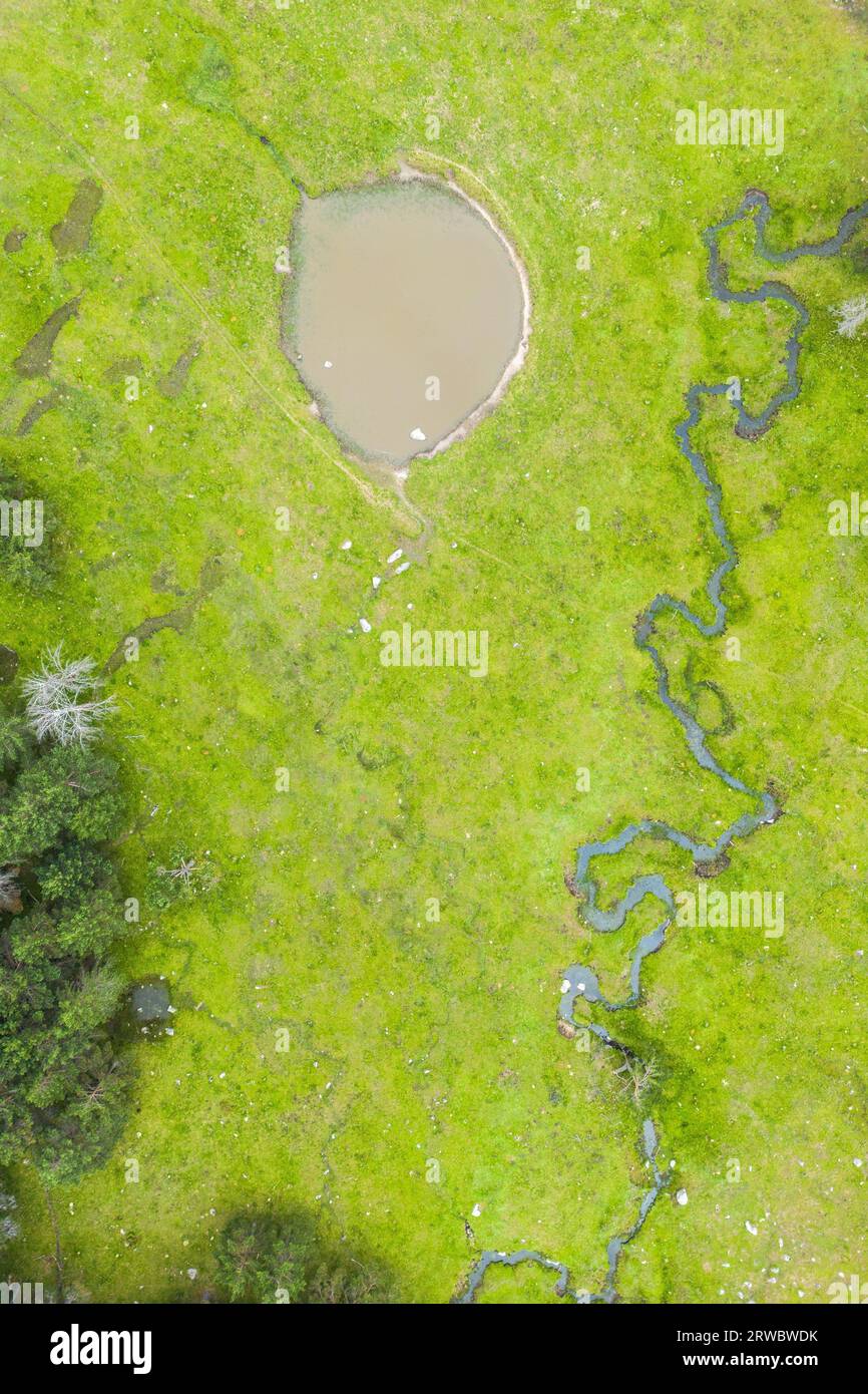 Aerial view of narrow river going through green grass near green trees ...