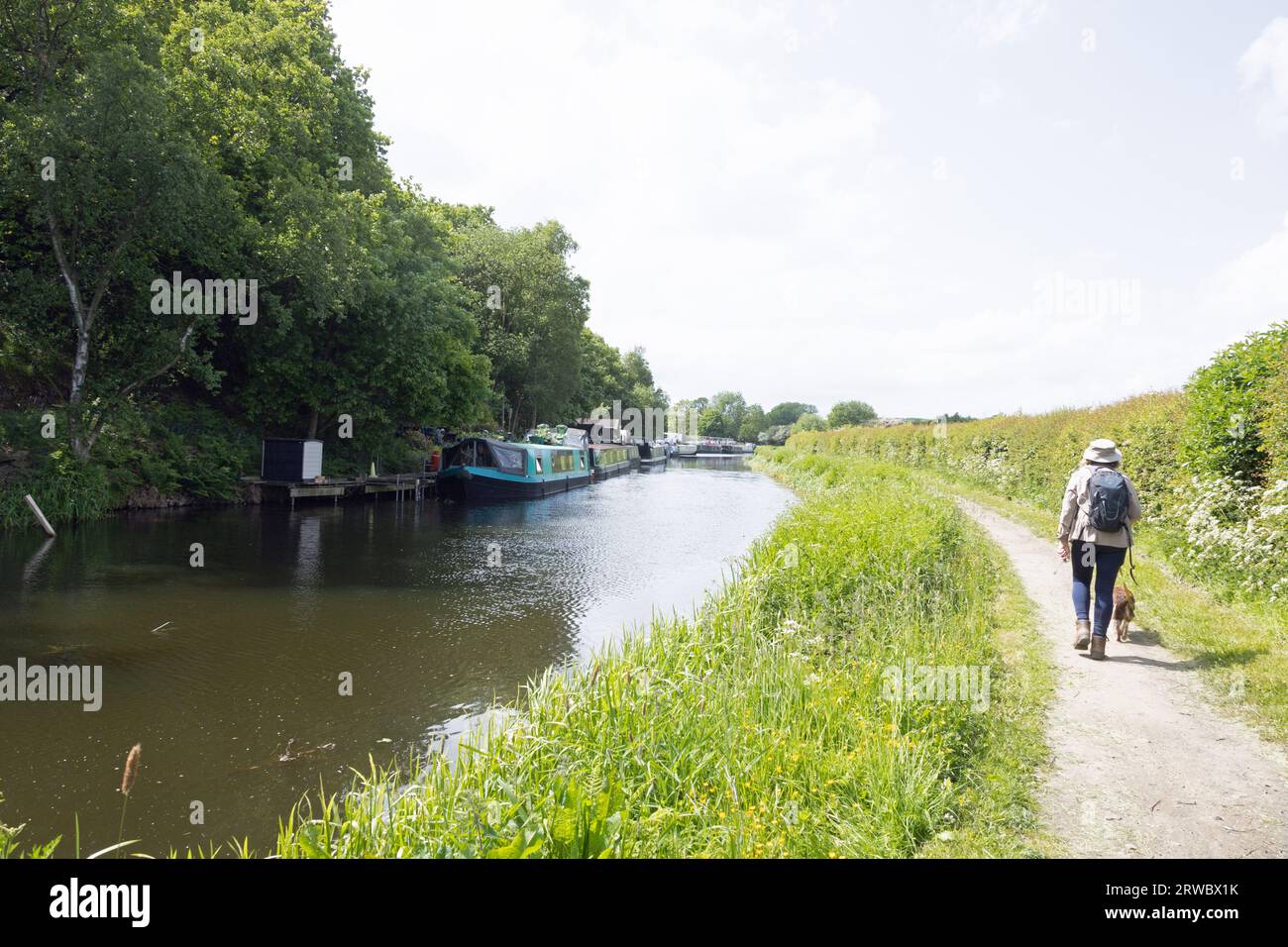 The Leeds and Liverpool Canal near Riley Green between Higher Wheelton ...