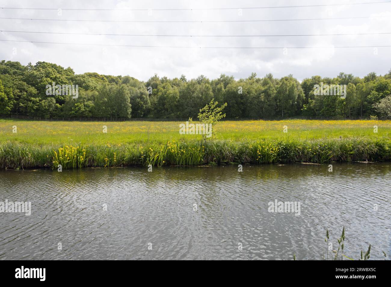 Riley trails hi-res stock photography and images - Alamy