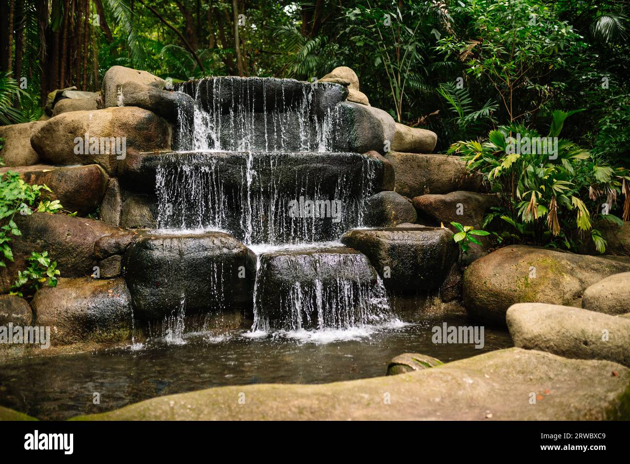 Singapore nature trail hi-res stock photography and images - Alamy