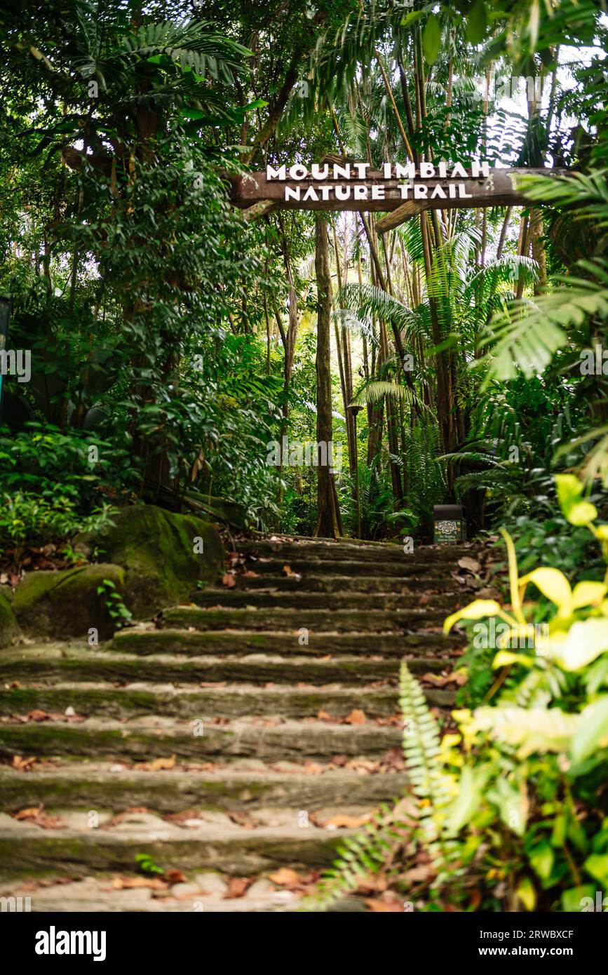 Stairs leading to Mount Imbiah, Nature Trail from Sentosa, Singapore ...