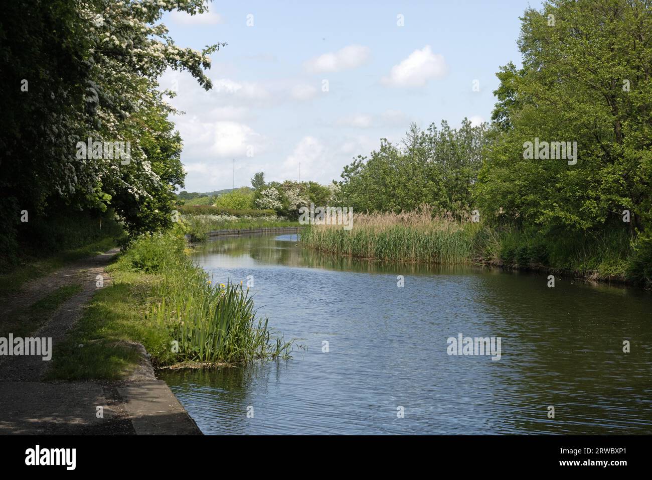 The Leeds and Liverpool Canal near Riley Green between Higher Wheelton ...