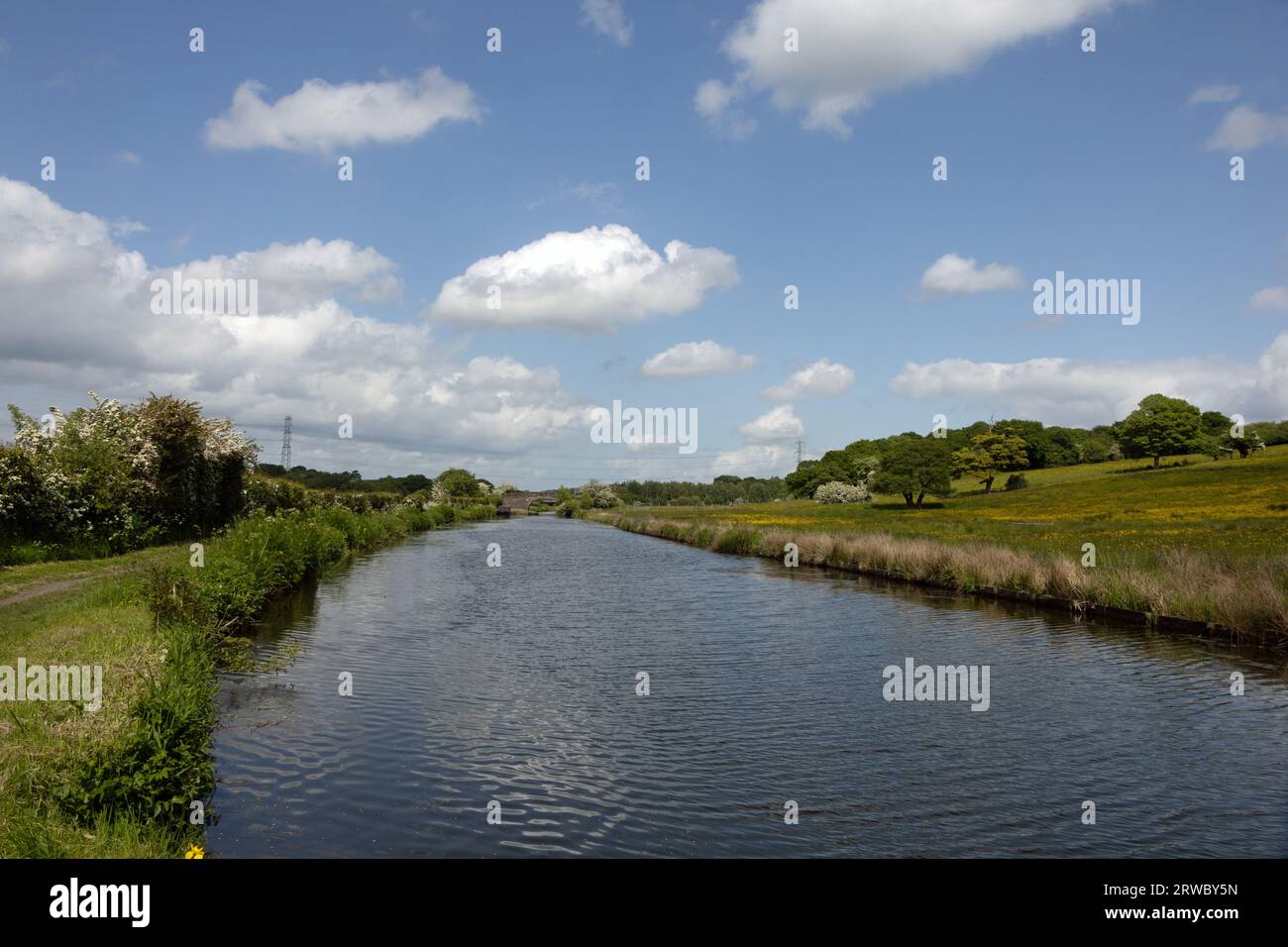 Riley trails hi-res stock photography and images - Alamy