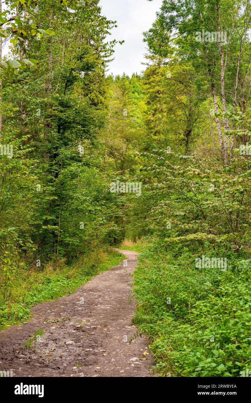 Path through the Wutach Gorge, a gorge of the 3 Gorges Hiking Trail in ...