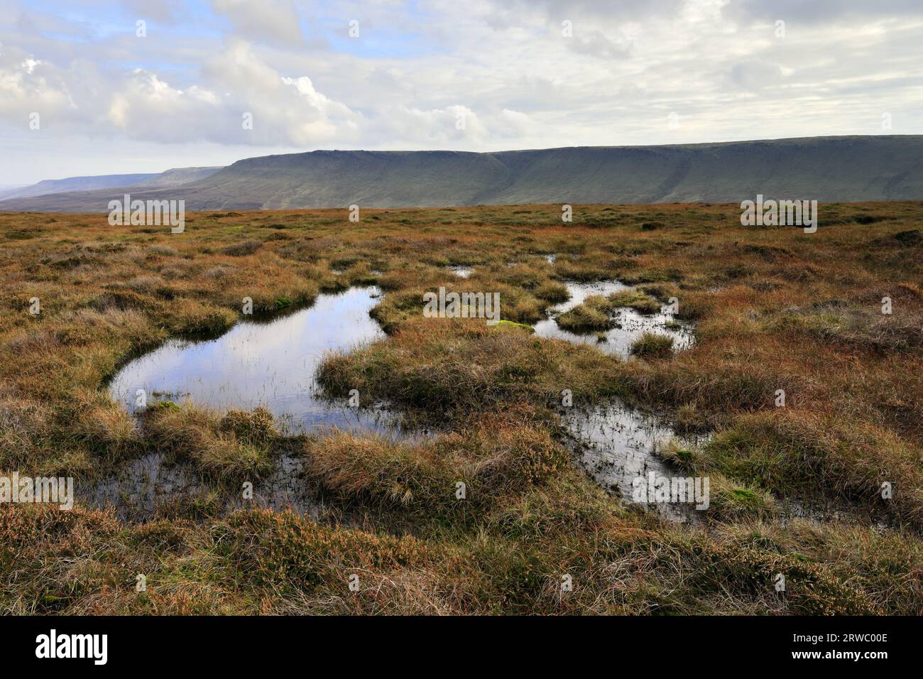 Black ashop moors hi-res stock photography and images - Alamy