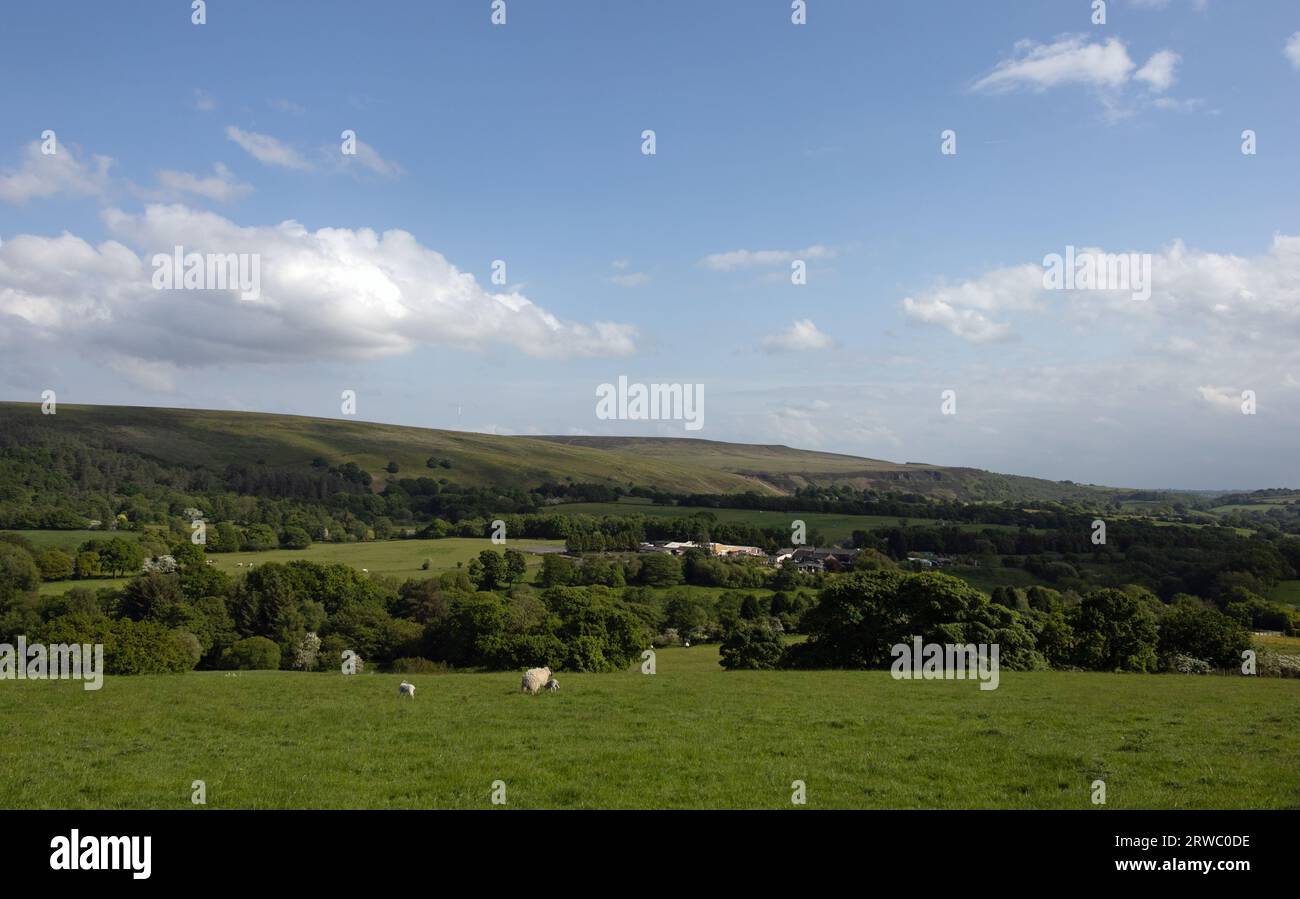 Great Hill and the West Pennine Moors viewed from Near Wheelton ...