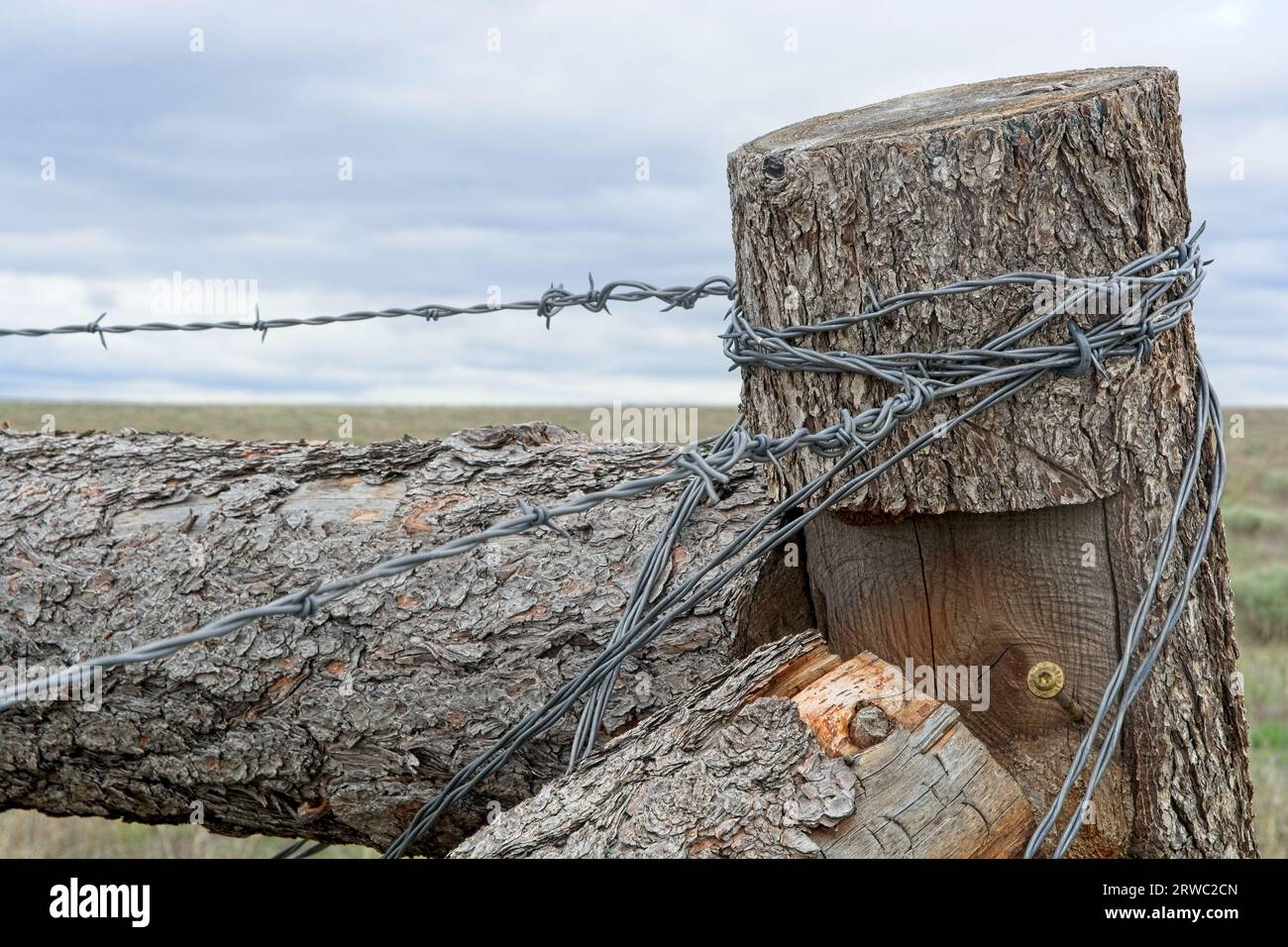 Relocation center barbed wire hi-res stock photography and images - Alamy