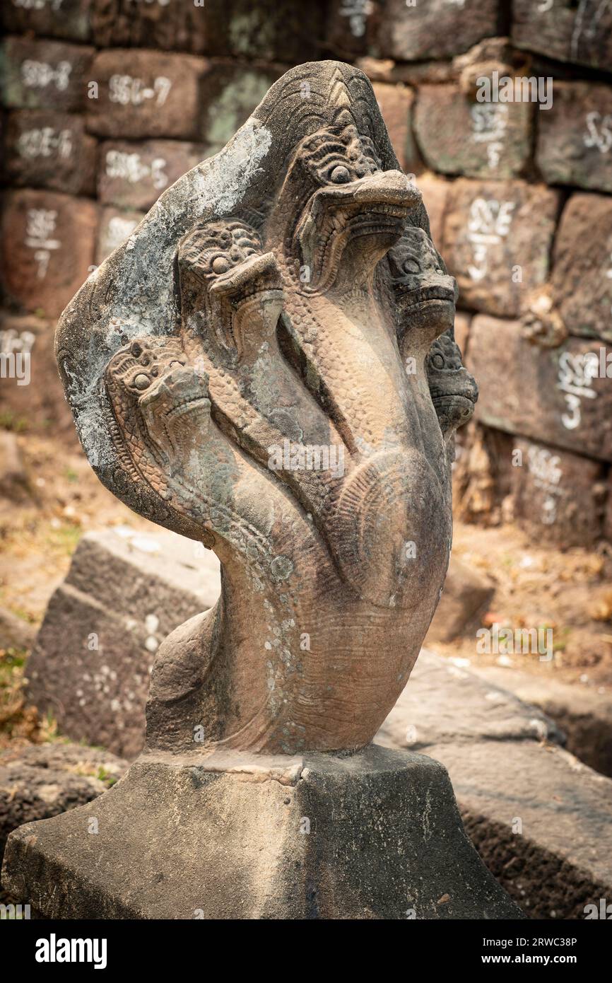 Ancient beauty . Carving of Five headed Naga at Wat Phou temple, Laos ...