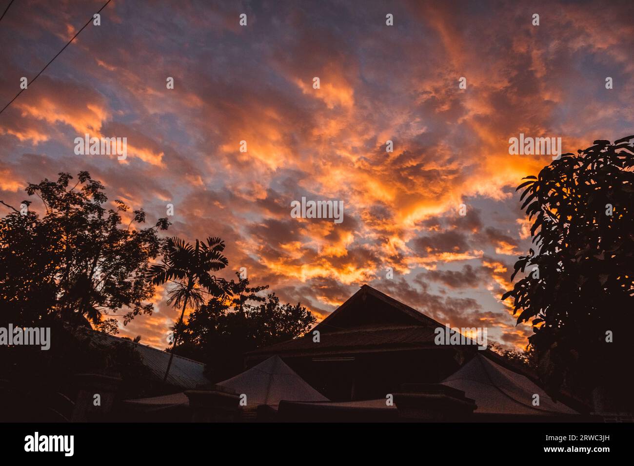 A serene Asian landscape at sunset, with a lone tree and winding road ...