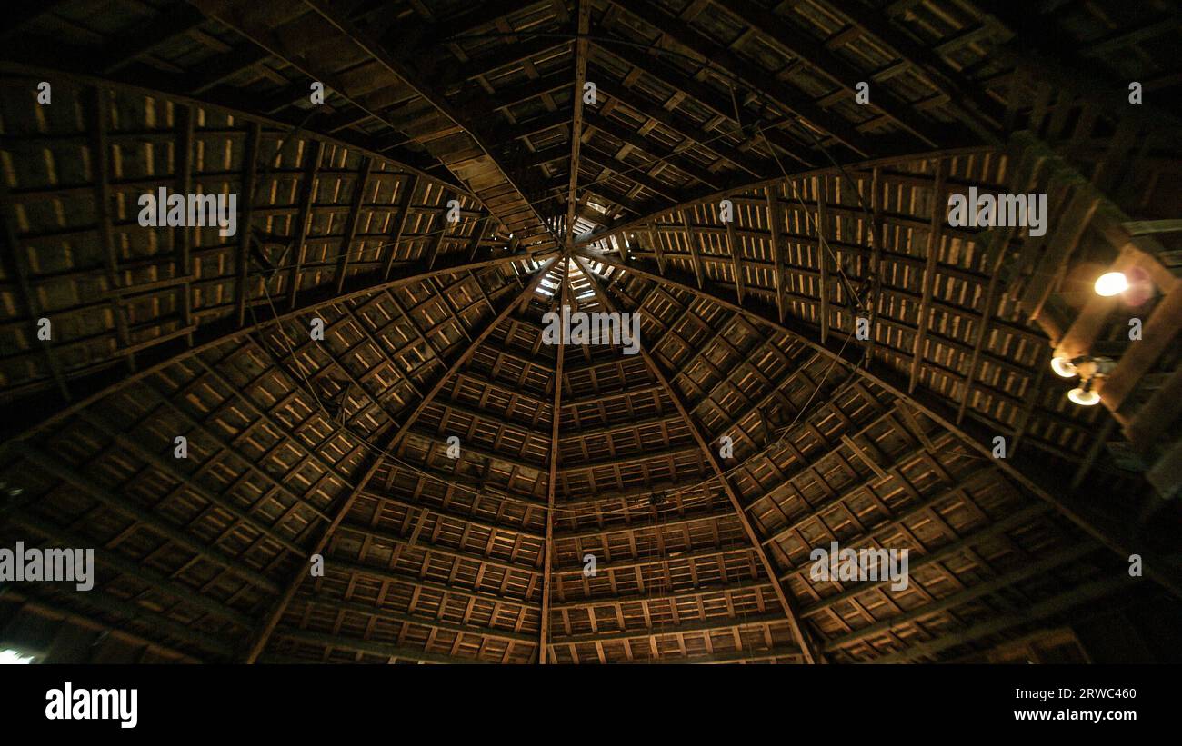 Barn swallows circle the laminated beams, 55 feet above the hayloft ...