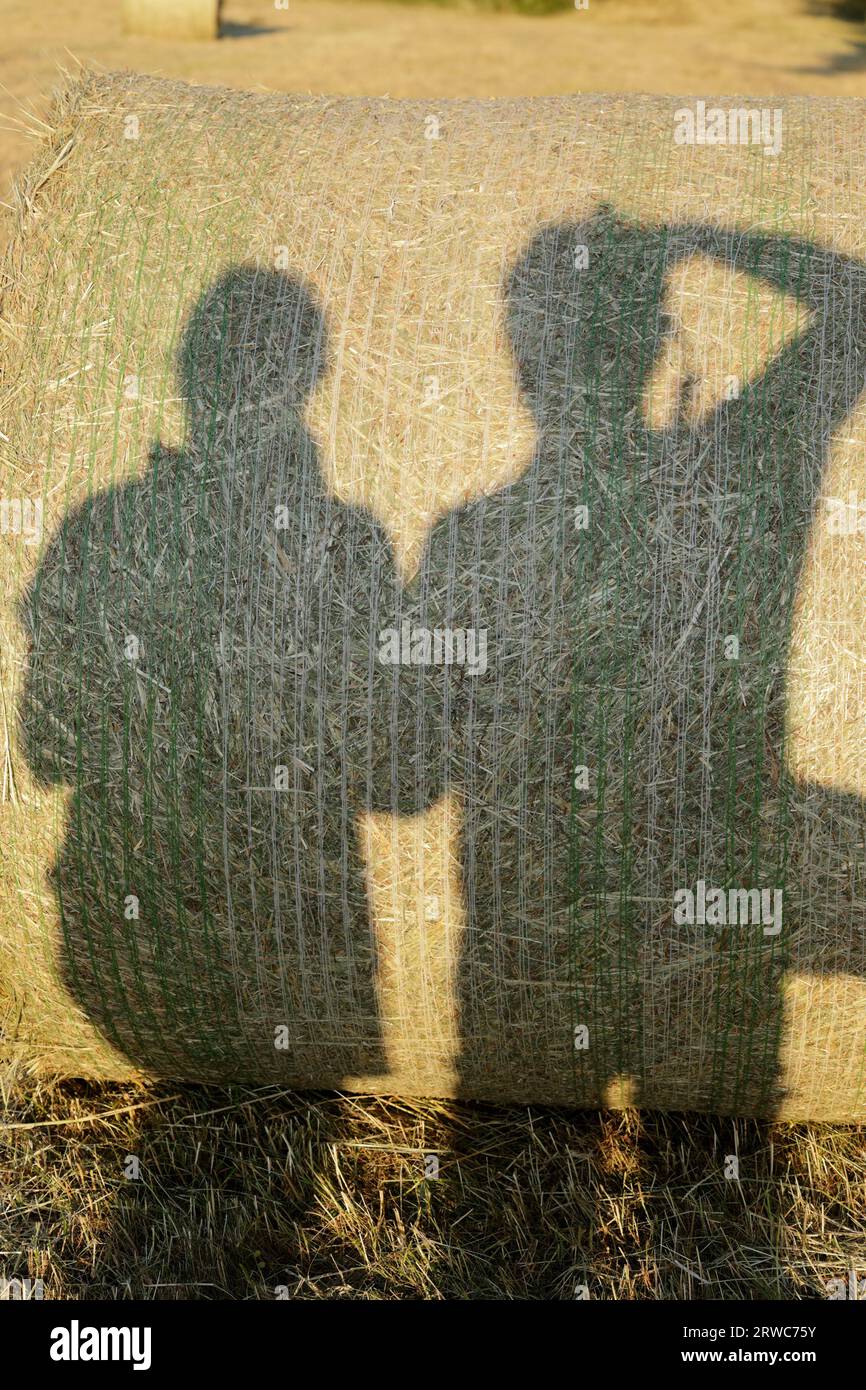 Farmer shadow on evening agriculture hi-res stock photography and ...