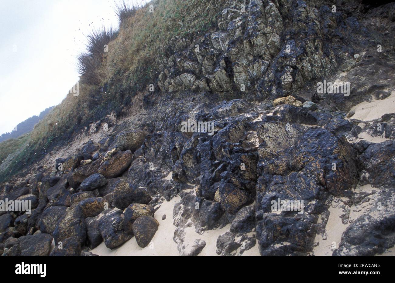 Rocks with oil, Doninos beach with oil, The Prestige oil spill , A ...