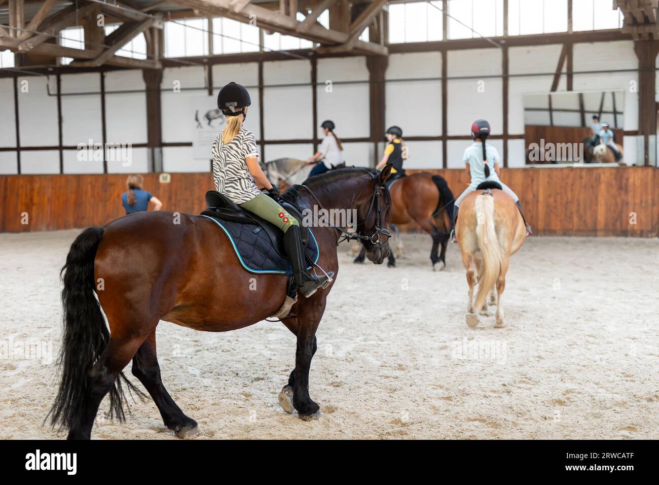 Horse riding school. Little children girls at group training equestrian lessons in indoor ranch ...