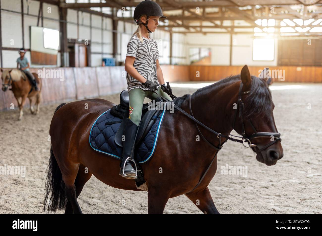 Horse riding school. Little children girls at group training equestrian ...