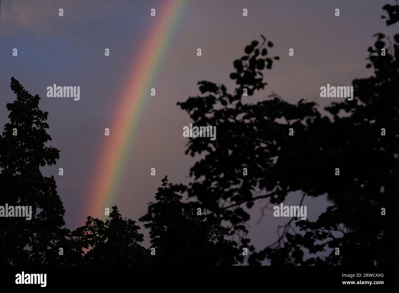 Rainbow can seen behind trees hi-res stock photography and images - Alamy