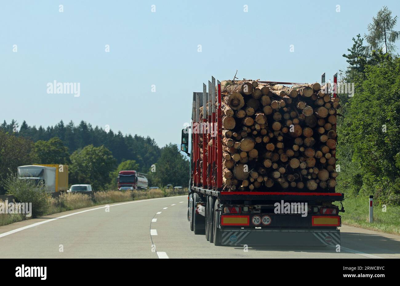 on the highway the truck for transporting the cut logs to the sawmill ...