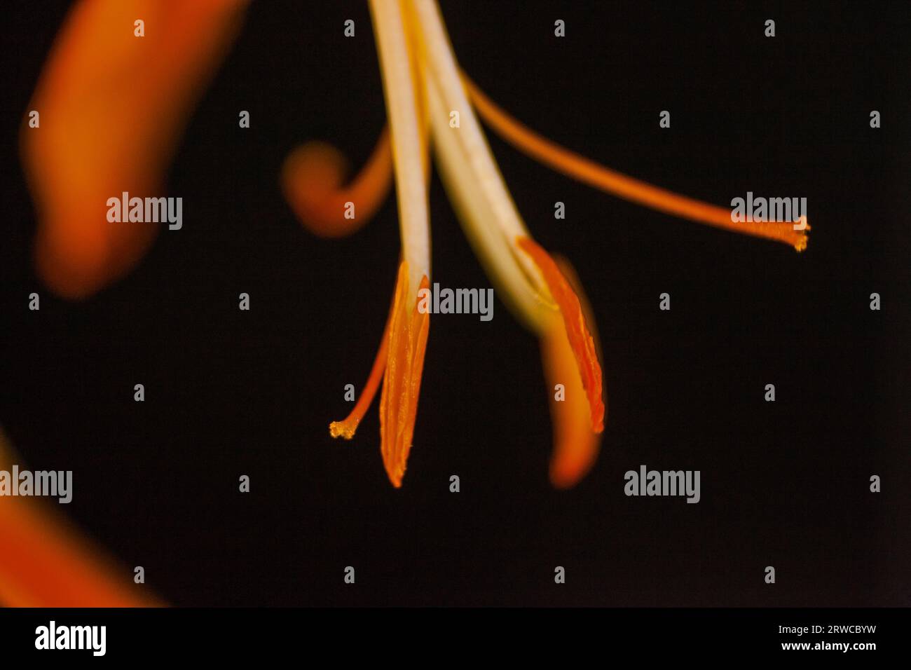 Filament texture hi-res stock photography and images - Alamy