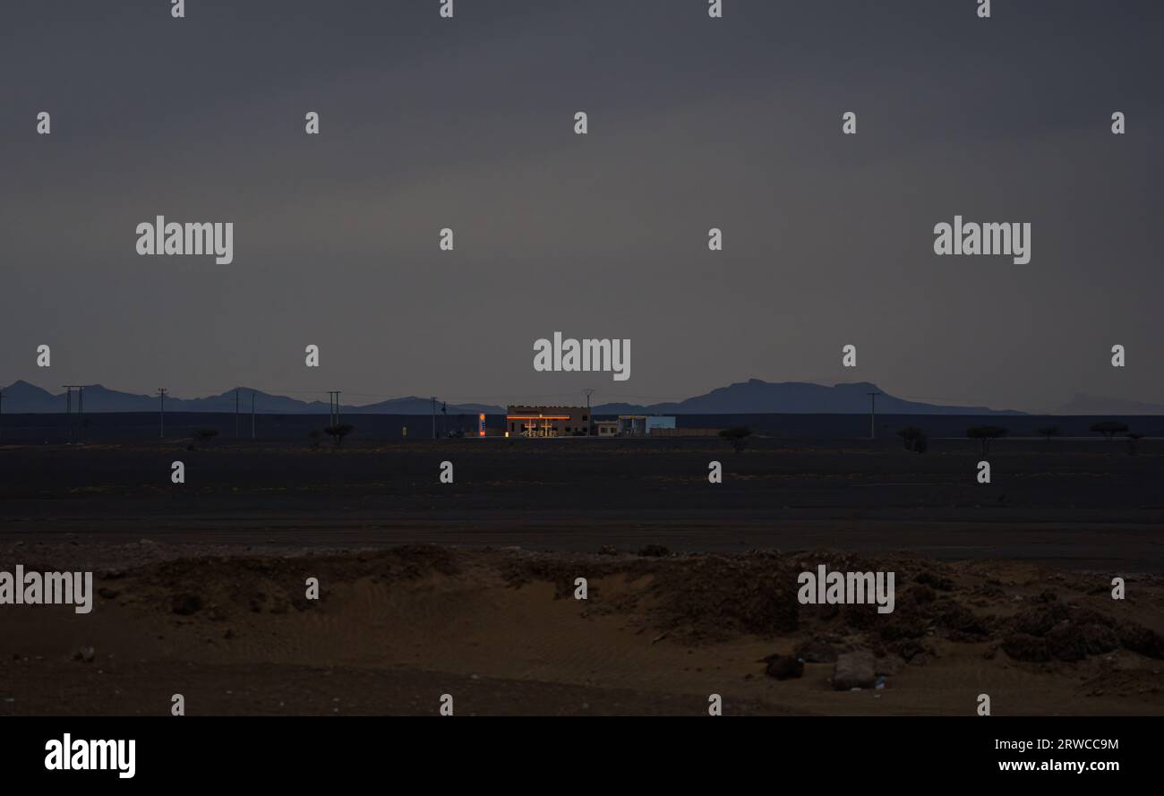 Shell in the Sahara Stock Photo - Alamy