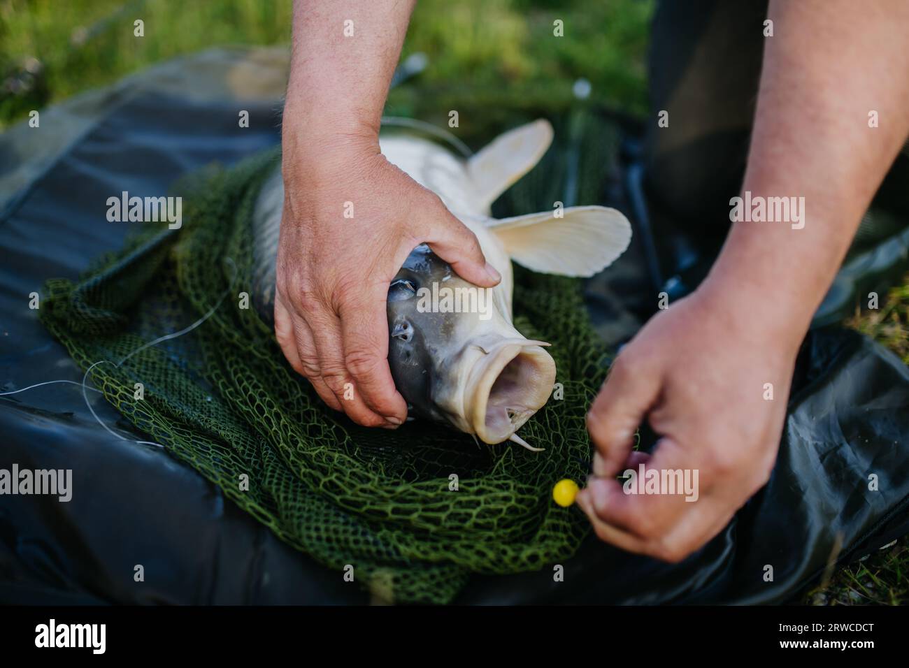 Carp fishing technique hi-res stock photography and images - Alamy
