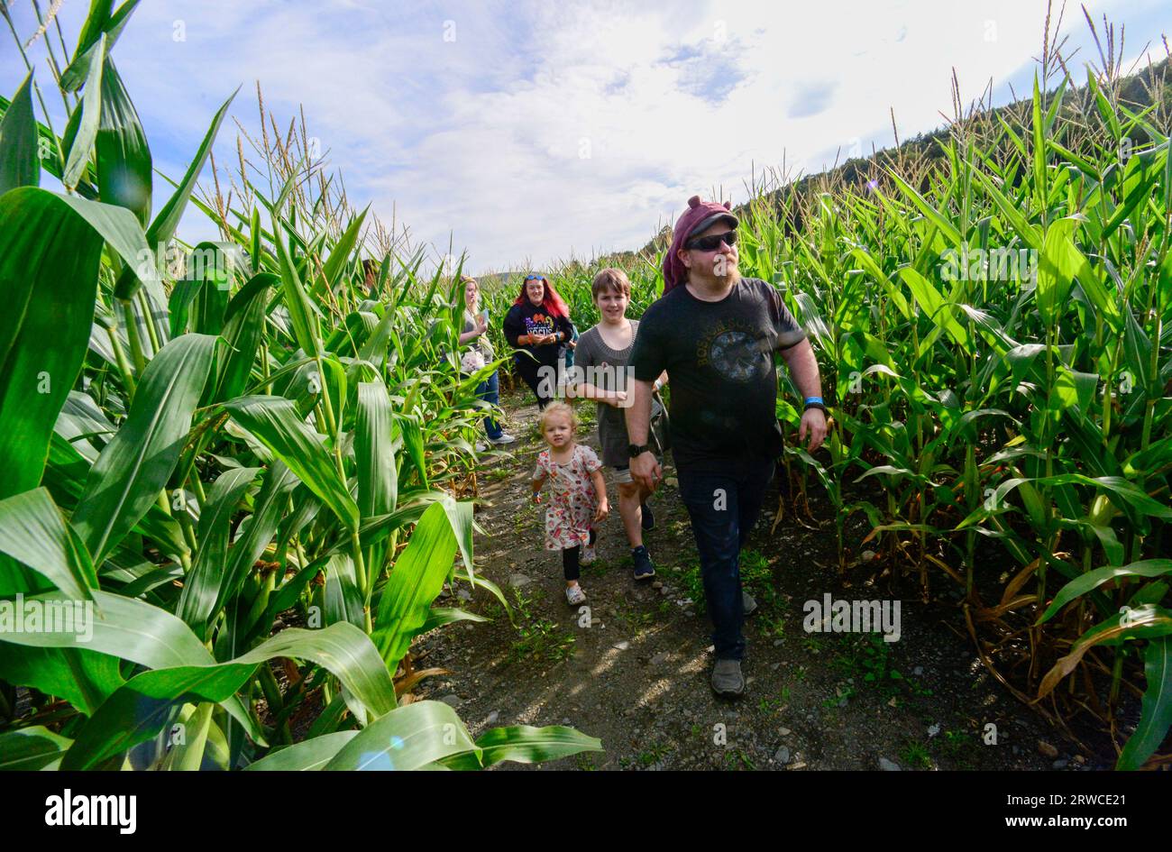 People explore the Mario themed corn maze and other fun activities on ...