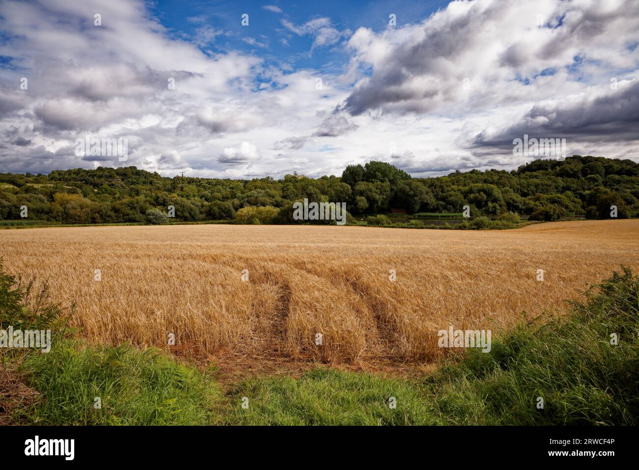 Don Gorge, Sprotbrough, Doncaster Stock Photo - Alamy