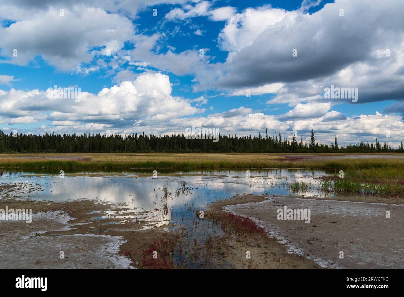 Beautiful crystalline desert salt plains, largest in Canada, shine in ...