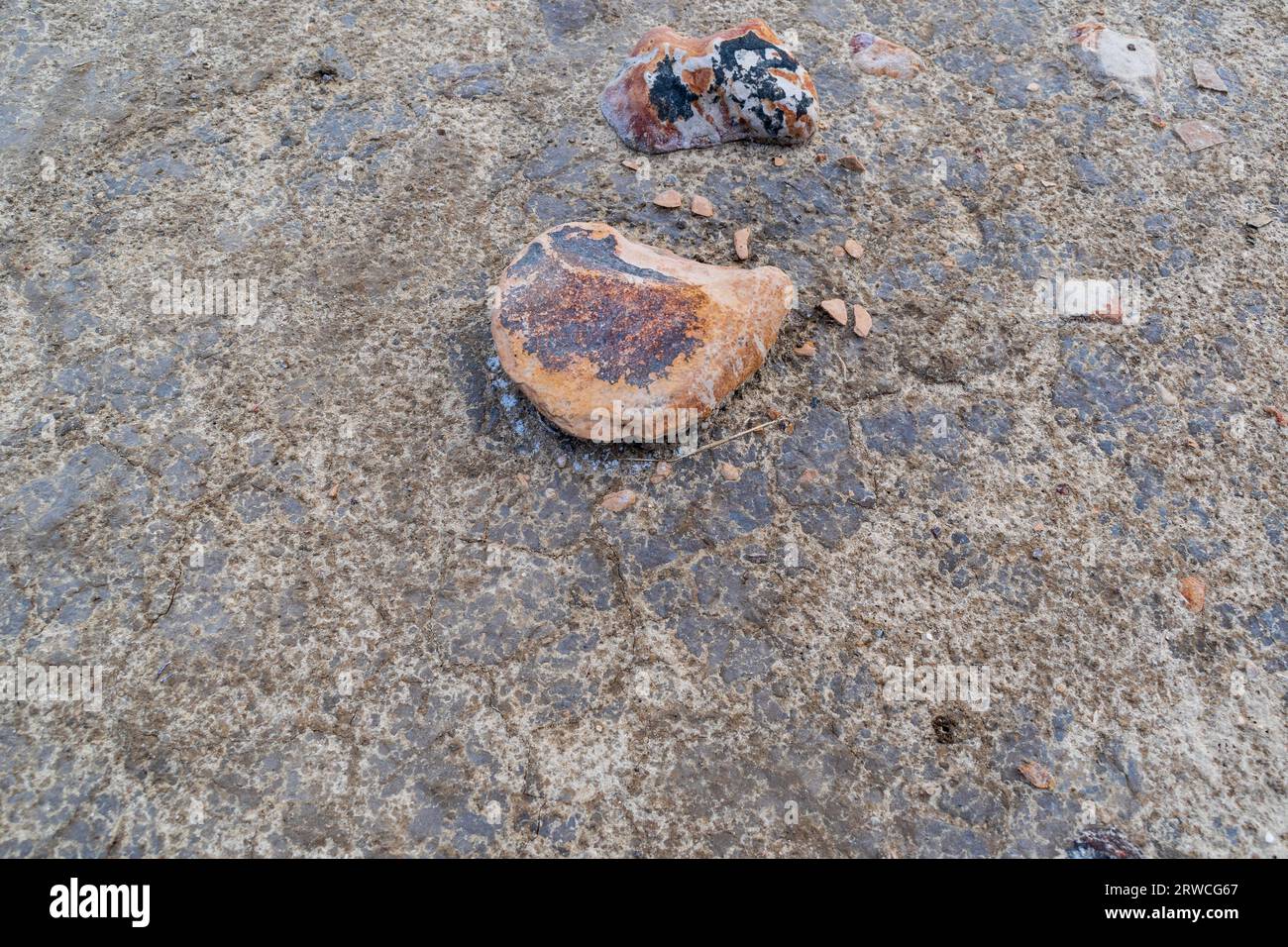 Rock in Crystalline Desert Salt Plains, Wood Buffalo National Park, NT ...