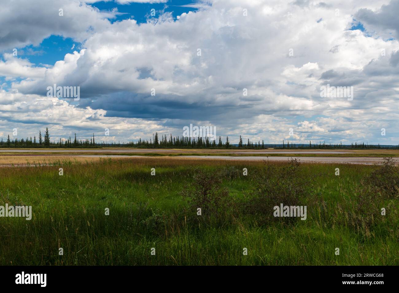 Beautiful crystalline desert salt plains, largest in Canada, shine in ...