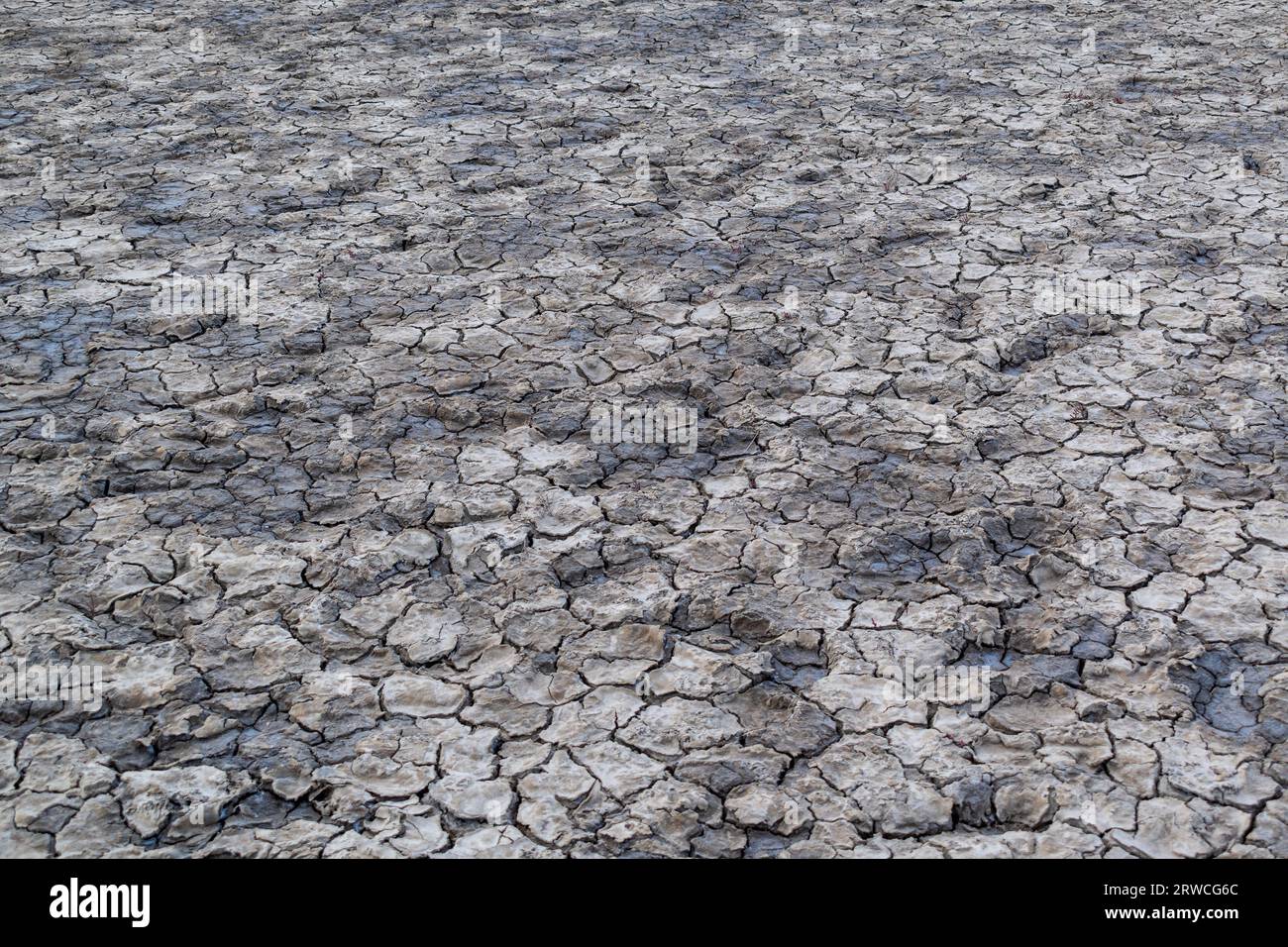 Abstract Pattern Background of Parched Salt Plain, Canada Stock Photo ...