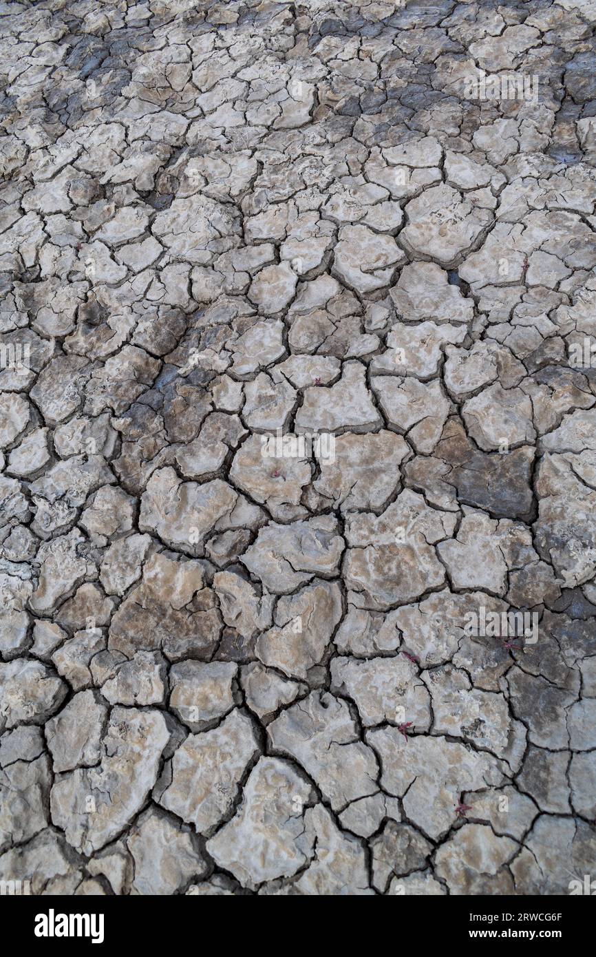Parched earth patterns hi-res stock photography and images - Alamy