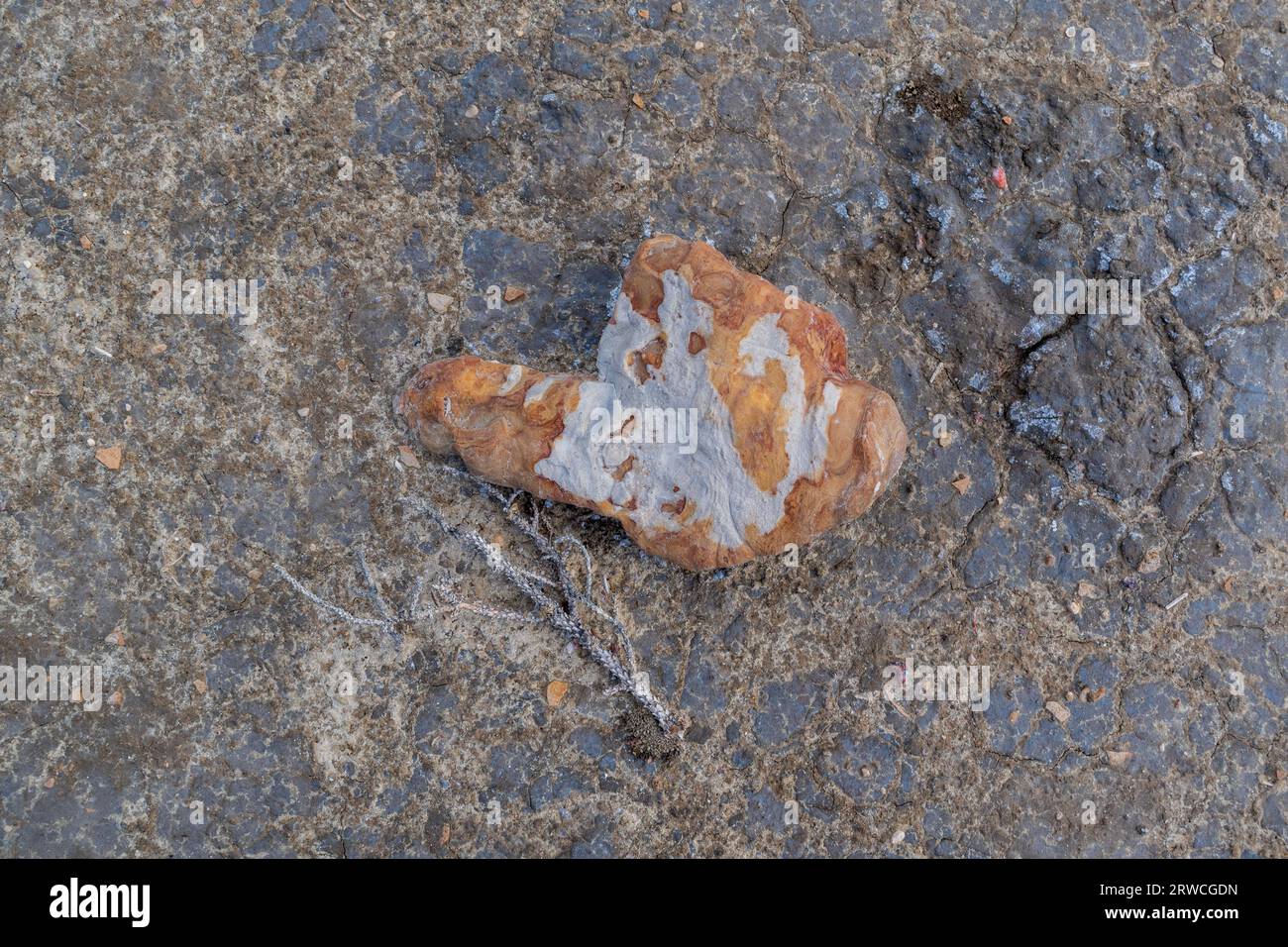 Drought nt hi-res stock photography and images - Alamy