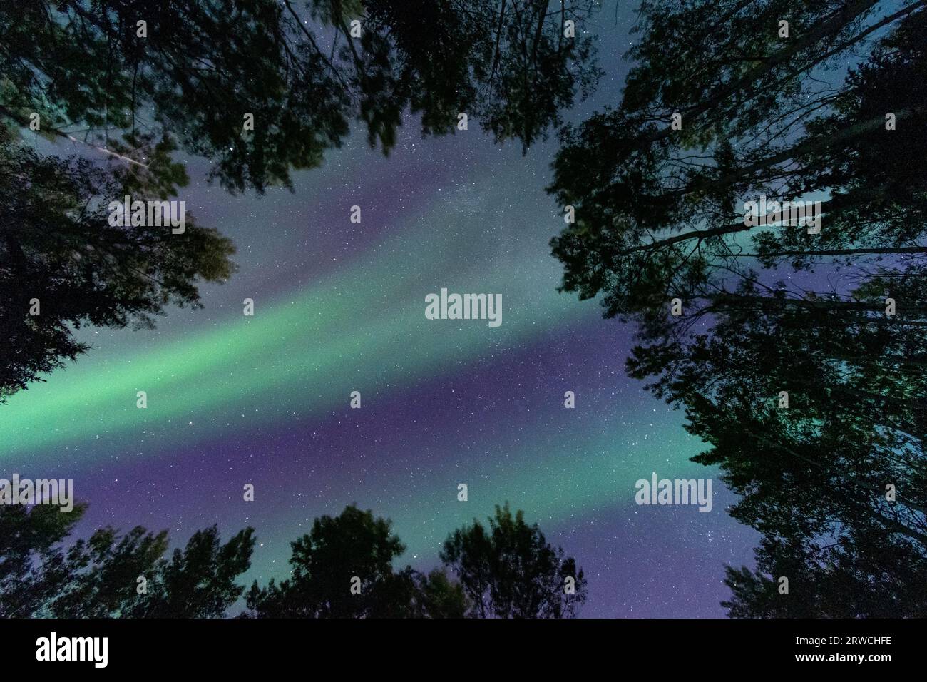 Beautiful Northern Lights, Aurora Borealis, British Columbia, BC Canada ...