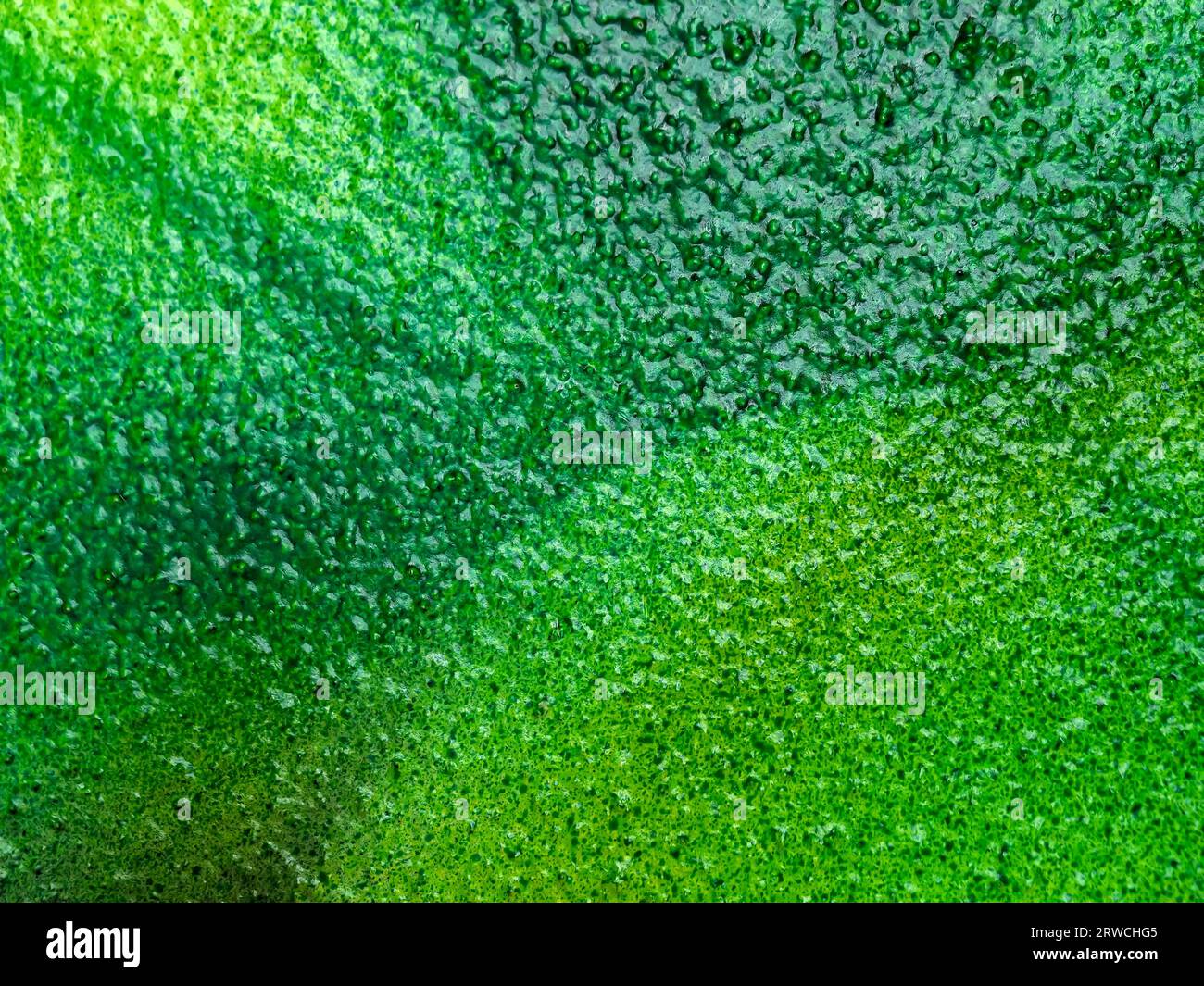 texture of rough wall surface, plaster painted with colorful paints ...