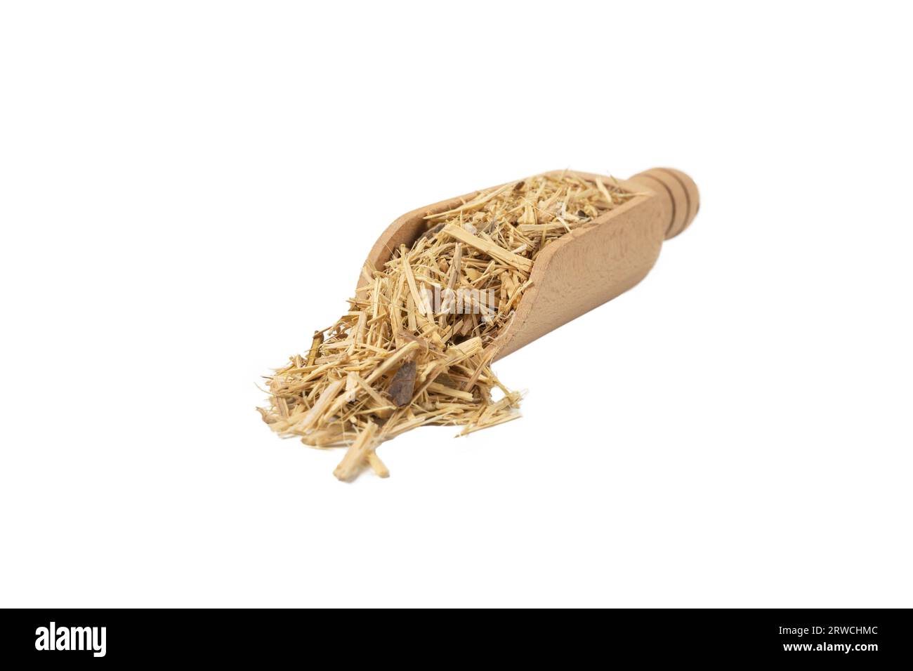 siberian ginseng in latin Eleutherococcus senticosus in wooden scoop ...