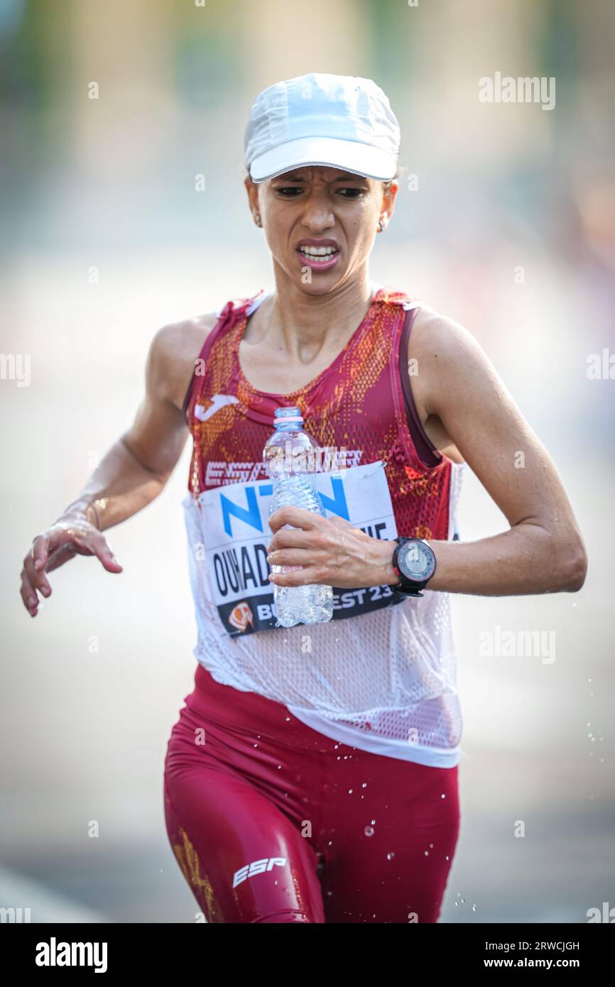 Fatima ouhaddou hi-res stock photography and images - Alamy