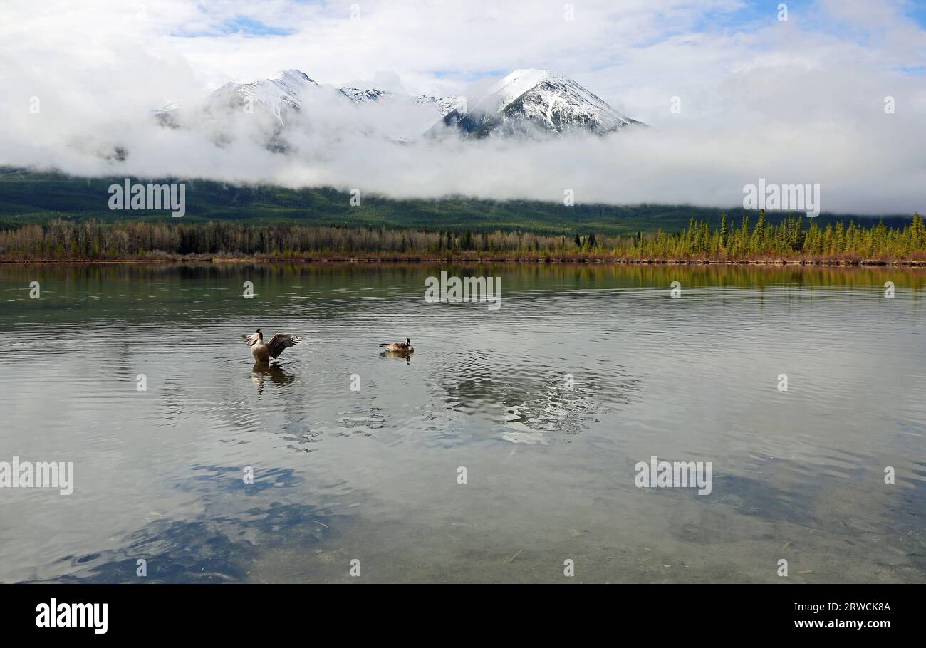 Landscape sundance peak trees hi-res stock photography and images - Alamy