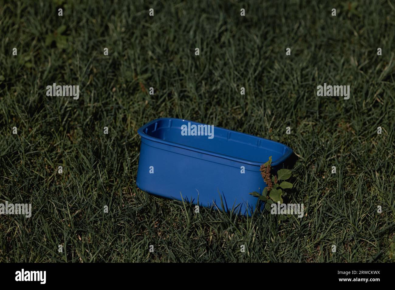 Reusable food container with you saves the environment. Environmental ...