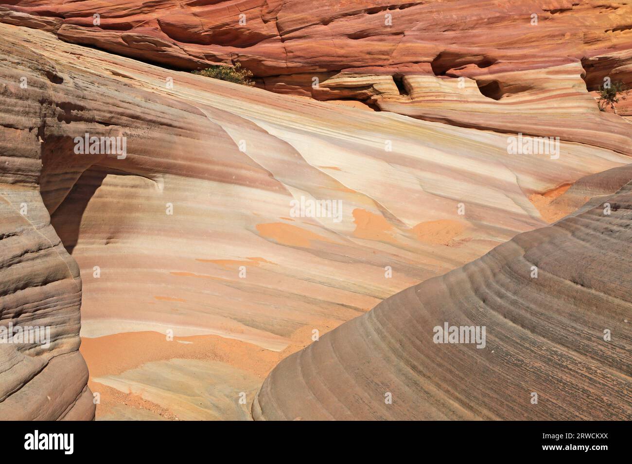 Pink cliffs in Pink Canyon - Valley of Fire State Park, Nevada Stock ...