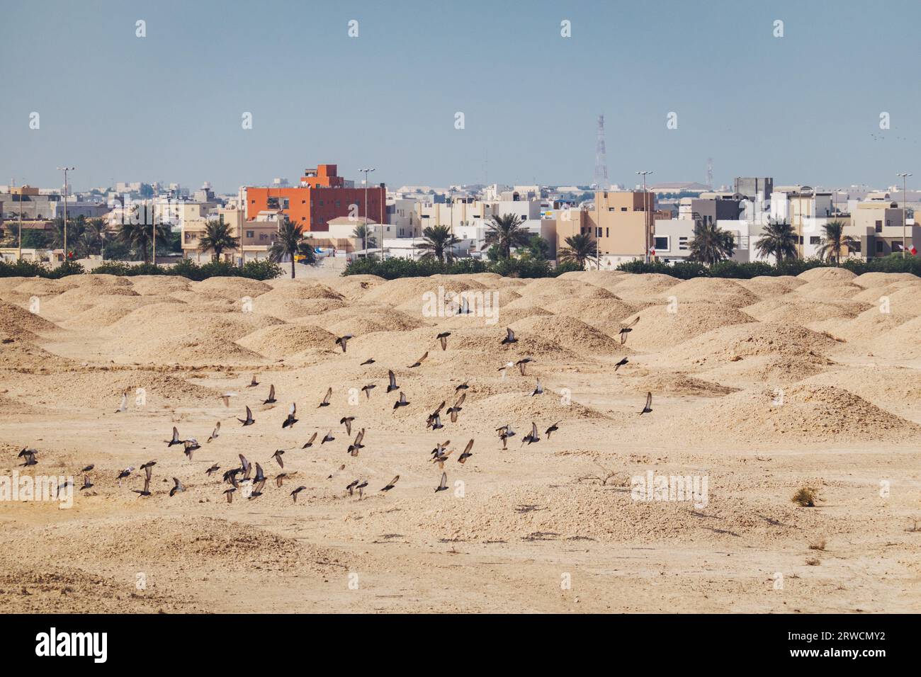 the A'ali field of the Dilmun Burial Mounds, a UNESCO World Heritage ...