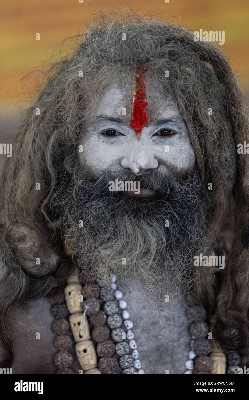 AMILNADU INDIA - FEB 15, 2023: Old Indian Hindu sadhu with dread-lock ...