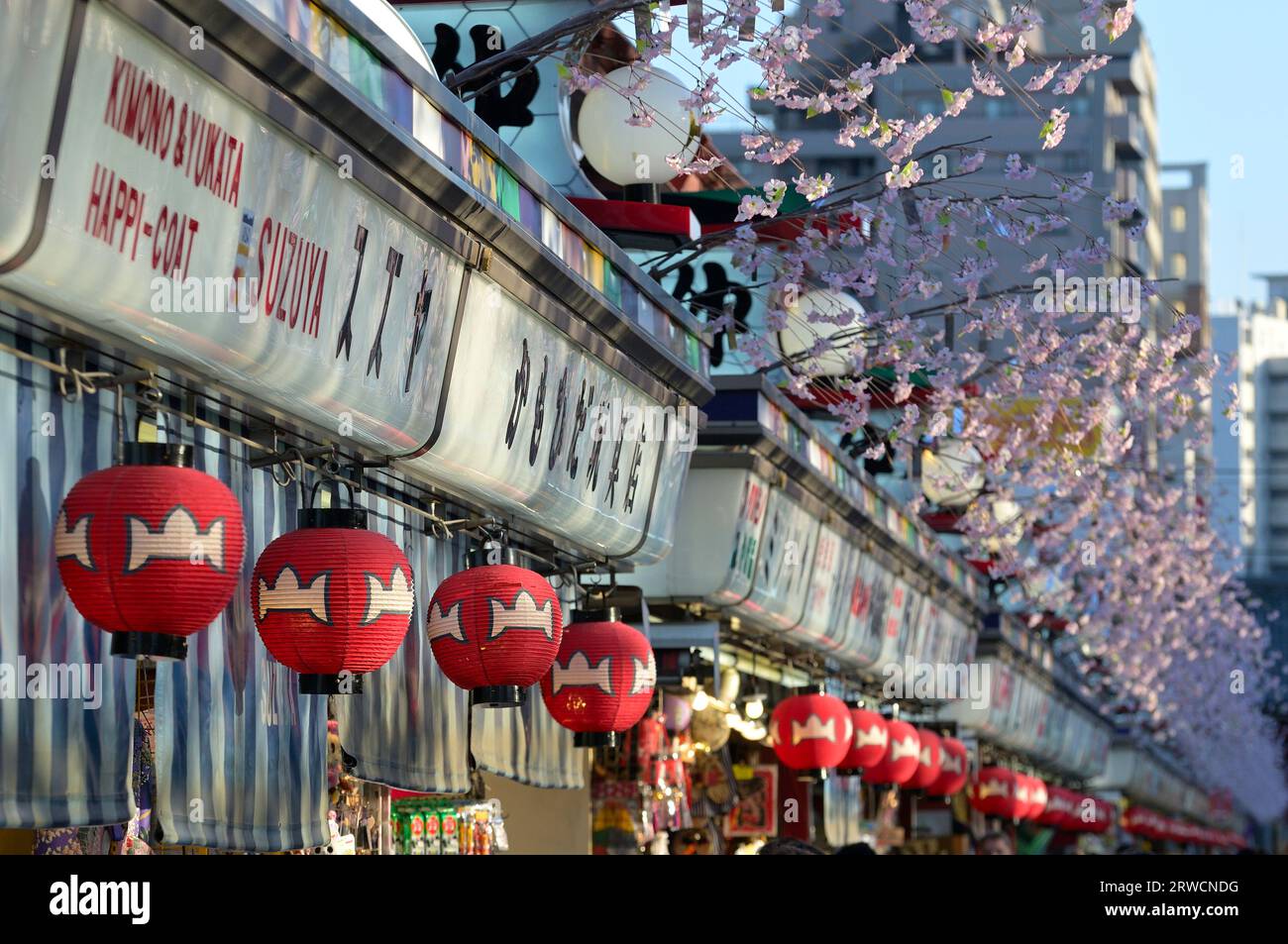The scenic precinct of the Sensoji Temple in Asakusa during the cherry ...