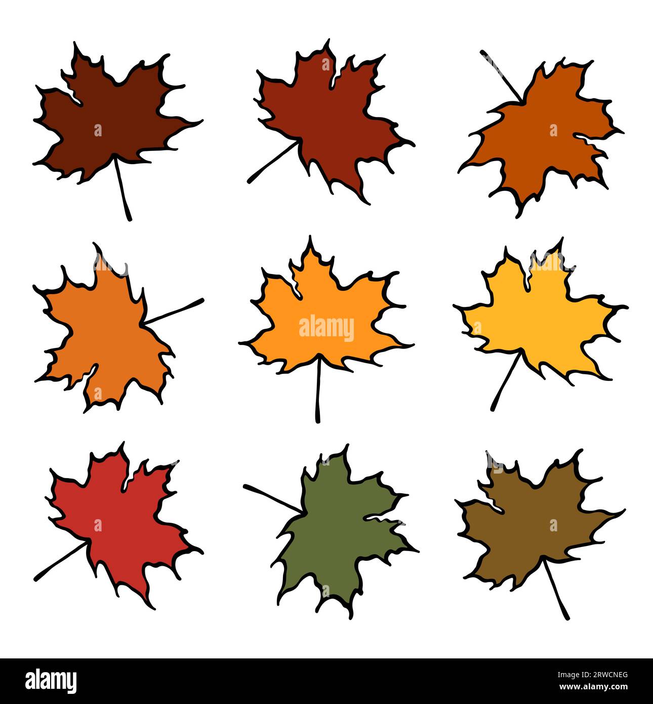 Set of vector maple leaves of different colors on a white background ...