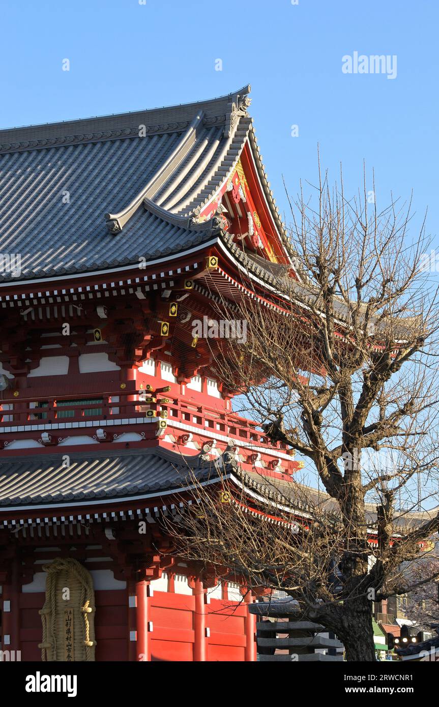 The scenic precinct of the Sensoji Temple in Asakusa during the cherry ...