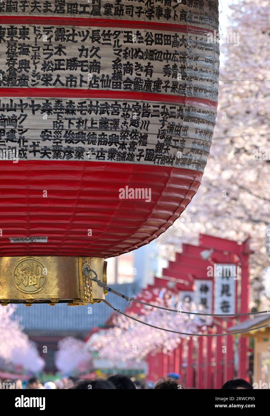 The scenic precinct of the Sensoji Temple in Asakusa during the cherry ...