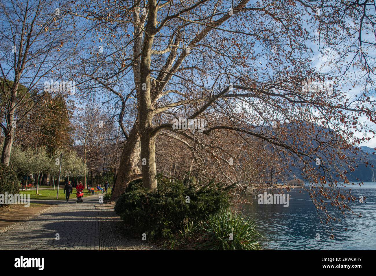 Parco civico ciani hi-res stock photography and images - Alamy