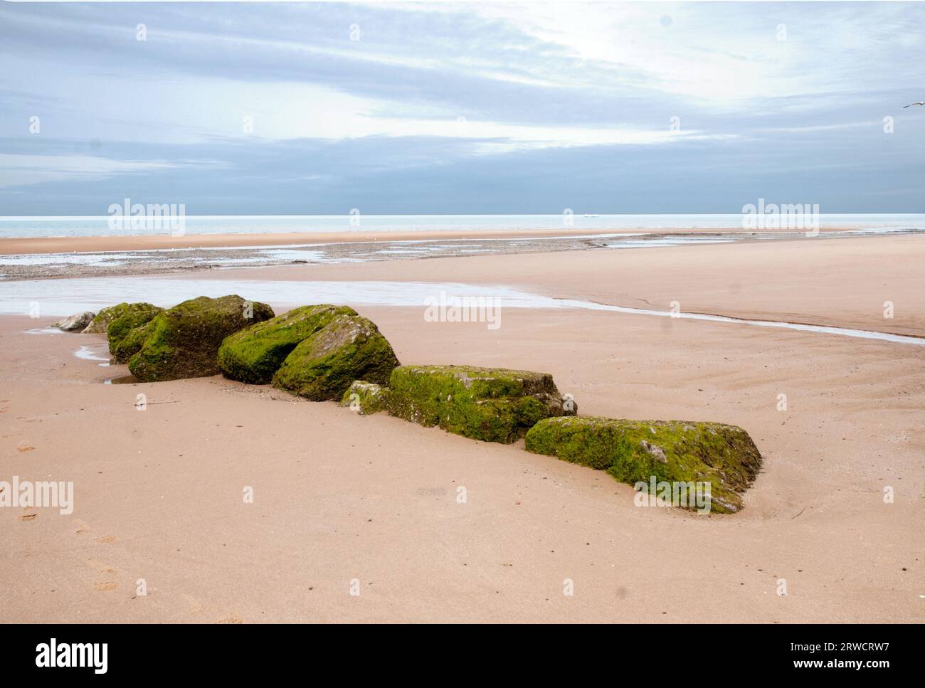 Tidal sea wall hi-res stock photography and images - Alamy